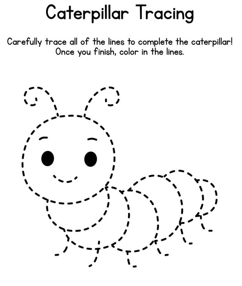 Insect Tracing Worksheet - Etsy