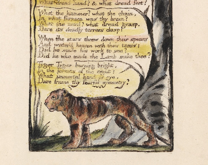 The Illuminated Prints of William Blake. From Songs of - Etsy