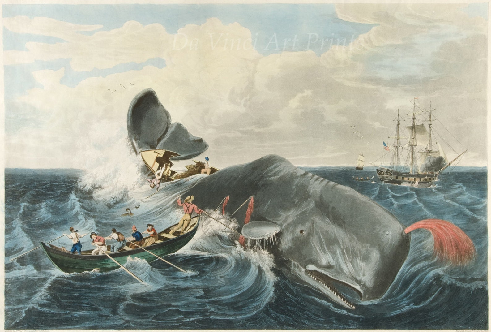 Images of America: Whaling Art - Capturing a Sperm Whale, 1835 - Fine ...