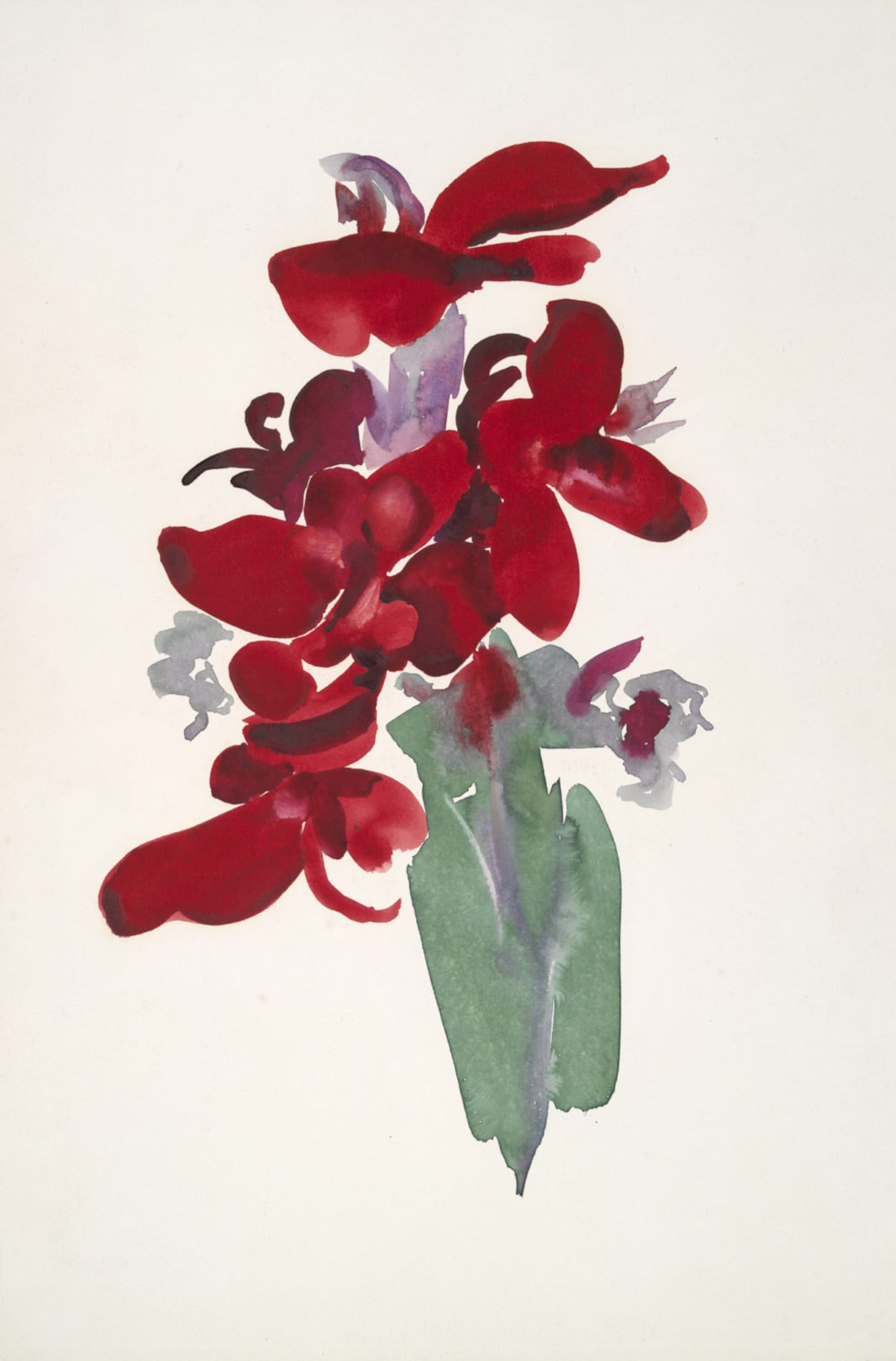 Georgia O'keeffe Watercolor Reproductions. Red Canna, 1915. Fine Art ...