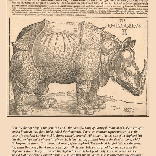 Albrecht Durer : the Rhinoceros 1515 Giclee Fine Art Print - Etsy