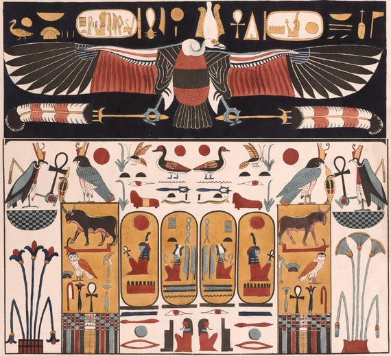 Tekening Van Een Egyptische Gier
