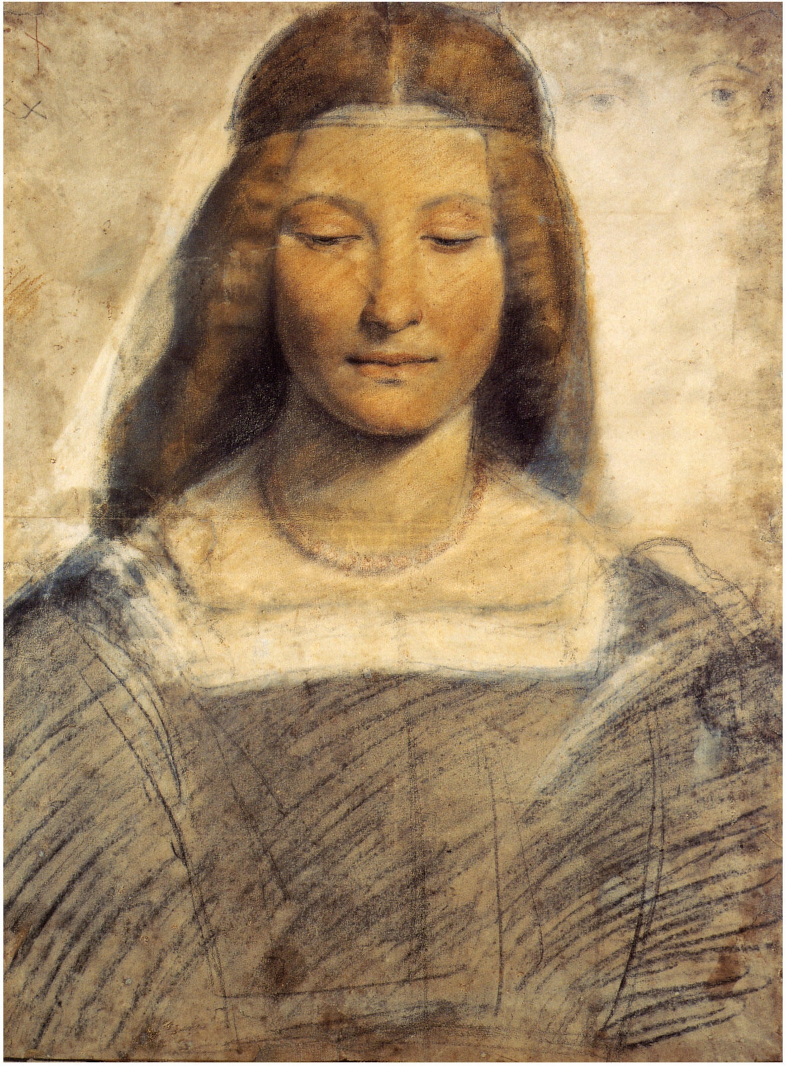 Master Drawings of the Italian Renaissance: Bust of a Young | Etsy