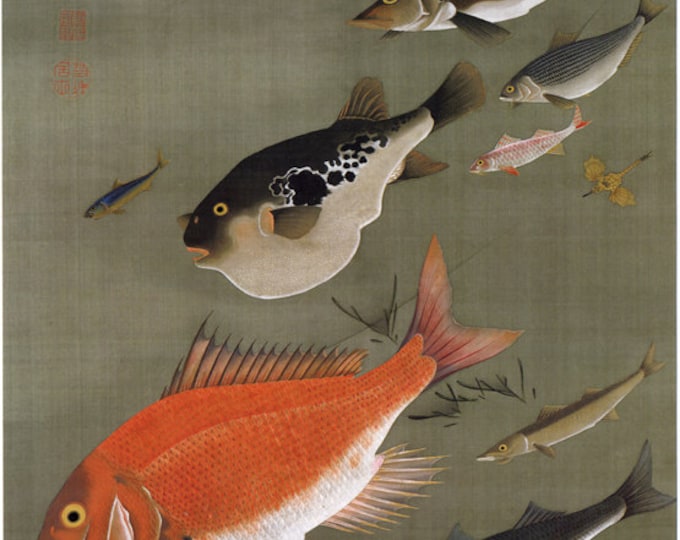Japanese Art. Fine Art Reproduction. Fish, C.1760 by Ito Jakuchu. Fine ...