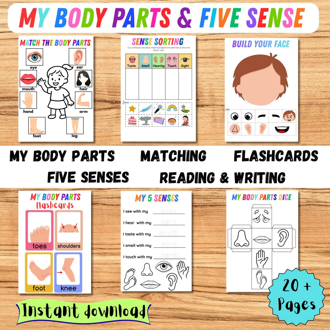 Body Parts & Five Senses Worksheet Pack - Etsy