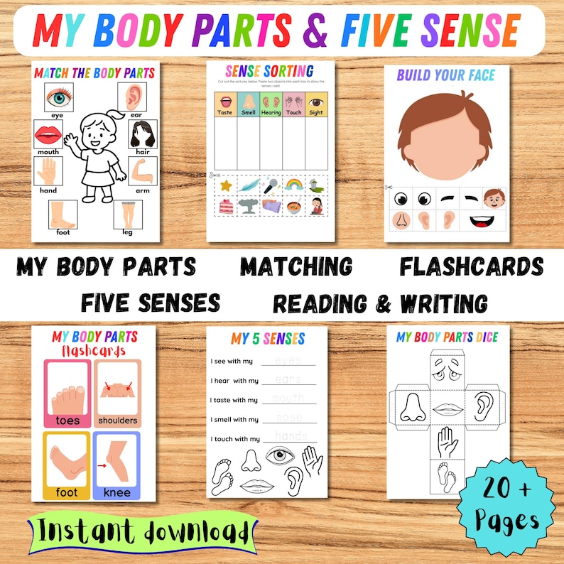 Body Parts & Five Senses Worksheet Pack - Etsy