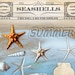 Seashell CLIPARTS Starfish OVERLAYS Realistic Sea Star Transparent ...