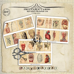 ANATOMY EPHEMERA Vintage Medical Illustrations Anatomy Chart Printable ...