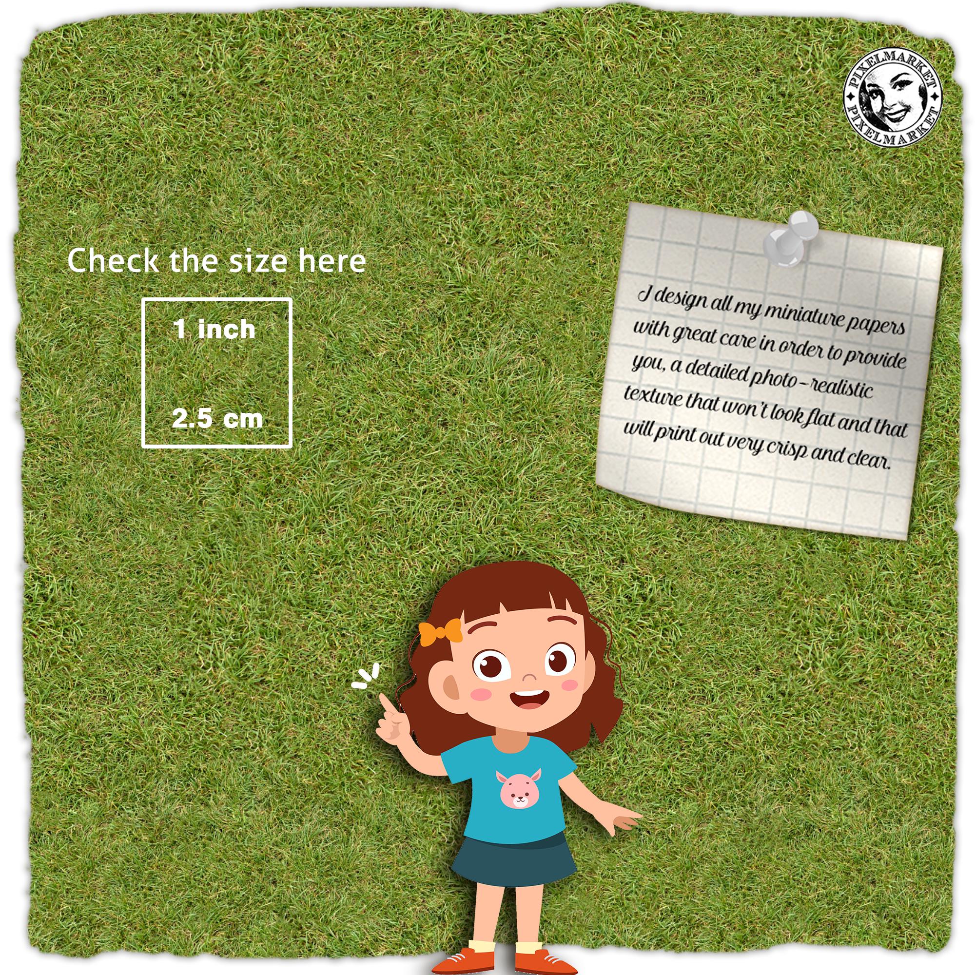 DOLLHOUSE Printable Lawn Flooring Trimmed & Untrimmed Grass for DIY ...