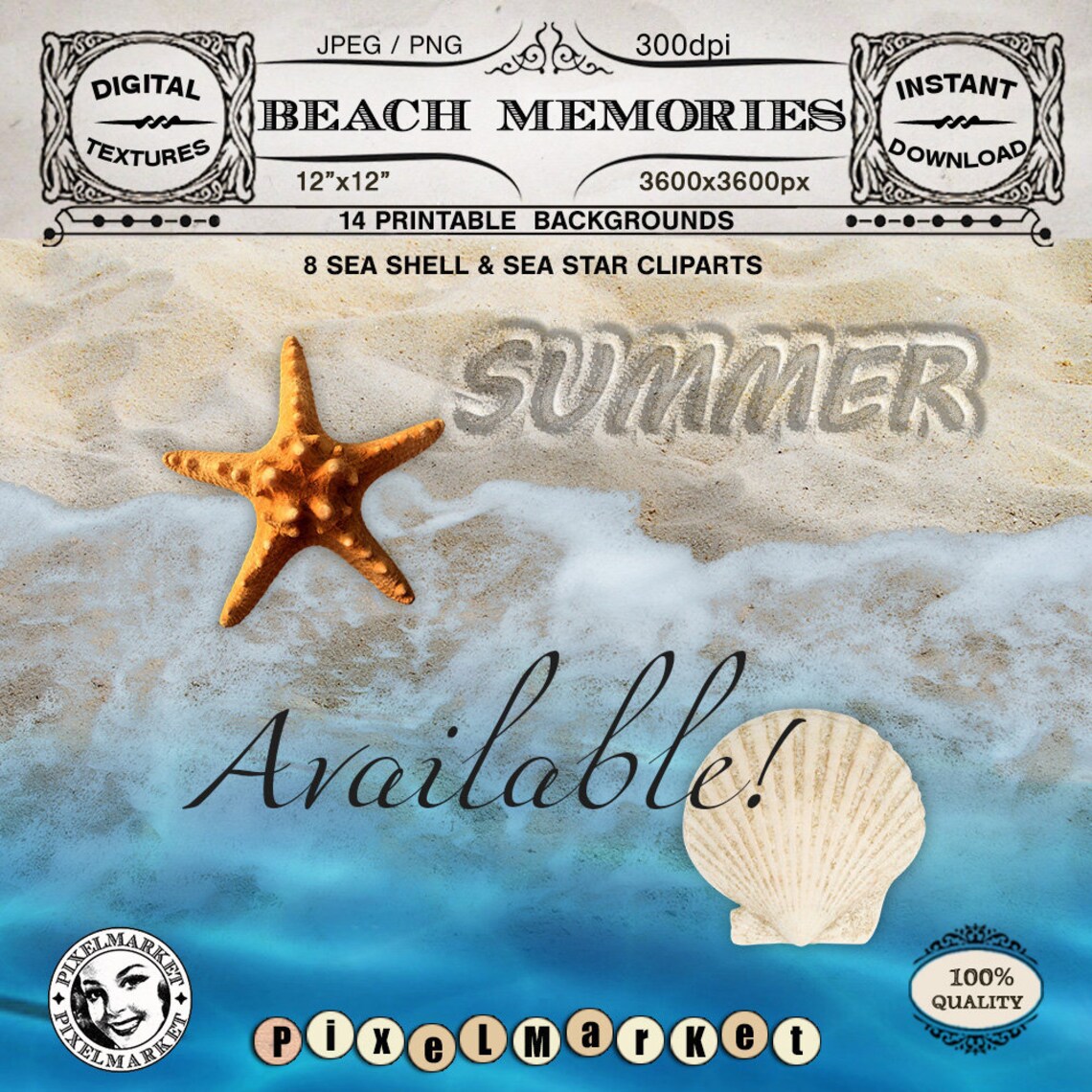 Seashell CLIPARTS Starfish OVERLAYS Realistic Sea Star Transparent ...