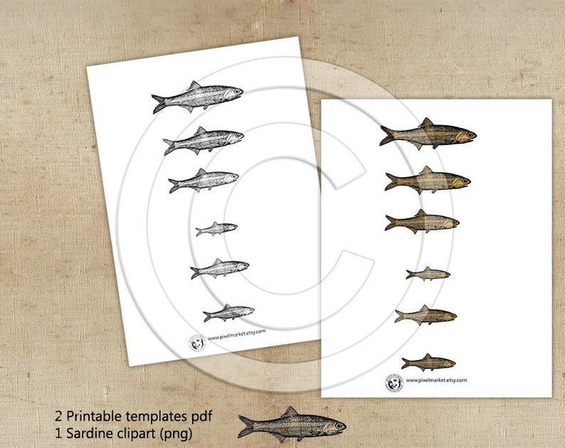 Kid Craft FISH Clipart Printable Sardine TEMPLATE Digital - Etsy