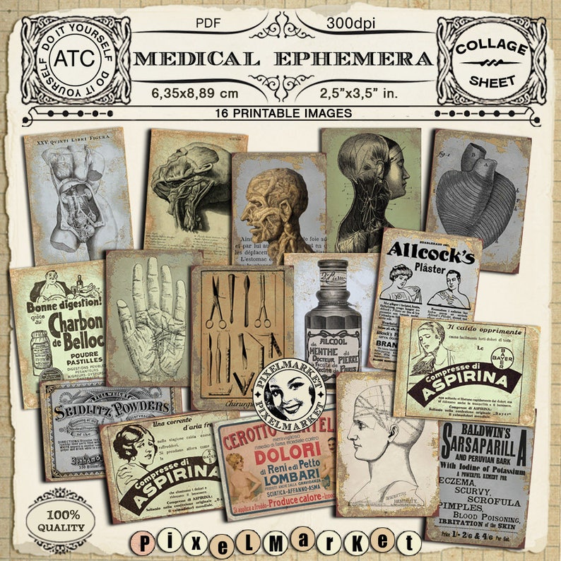 Vintage Printable Medical Illustrations ANATOMY Chart | Etsy