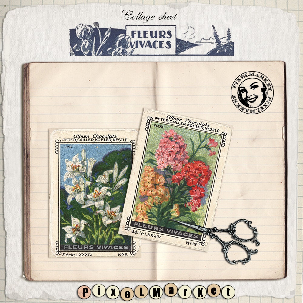 FRENCH EPHEMERA Antique FLOWERS Illustrations Set of 8 | Etsy