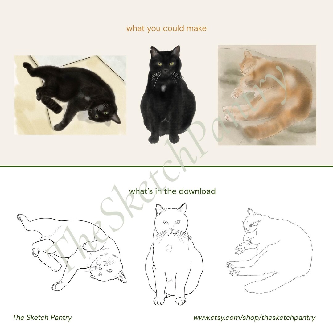 3 Hand-drawn Cat Procreate Brushes | Sitting, Rolling, Sleeping Stamps ...