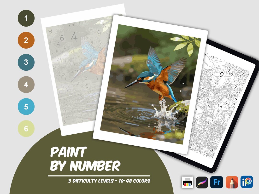 Kingfisher Diving Color by Number Printable (PDF PNG), 3 Difficulty ...