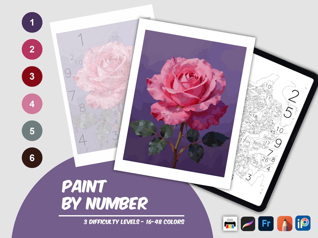 Pink Rose Paint by Number Printable | Botanical Floral Art Activity ...