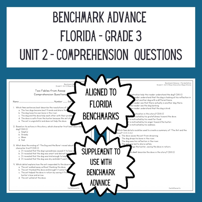 3rd Grade Reading Comprehension Worksheets | Benchmark Advance Unit 1 ...