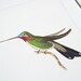 Hummingbird 5 in Emerald Green, Fuchsia & Navy Naturalist Drawing ...