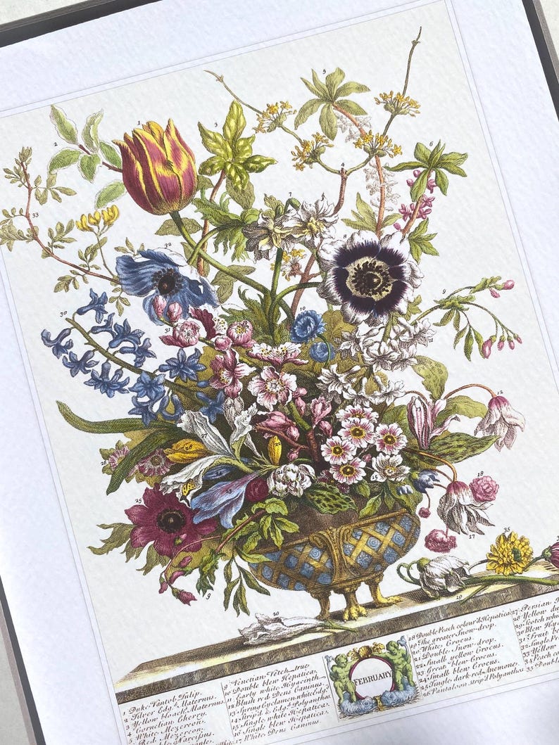 Individual Monthly 12 Floral Bouquets by Robert Furber Archival Prints ...