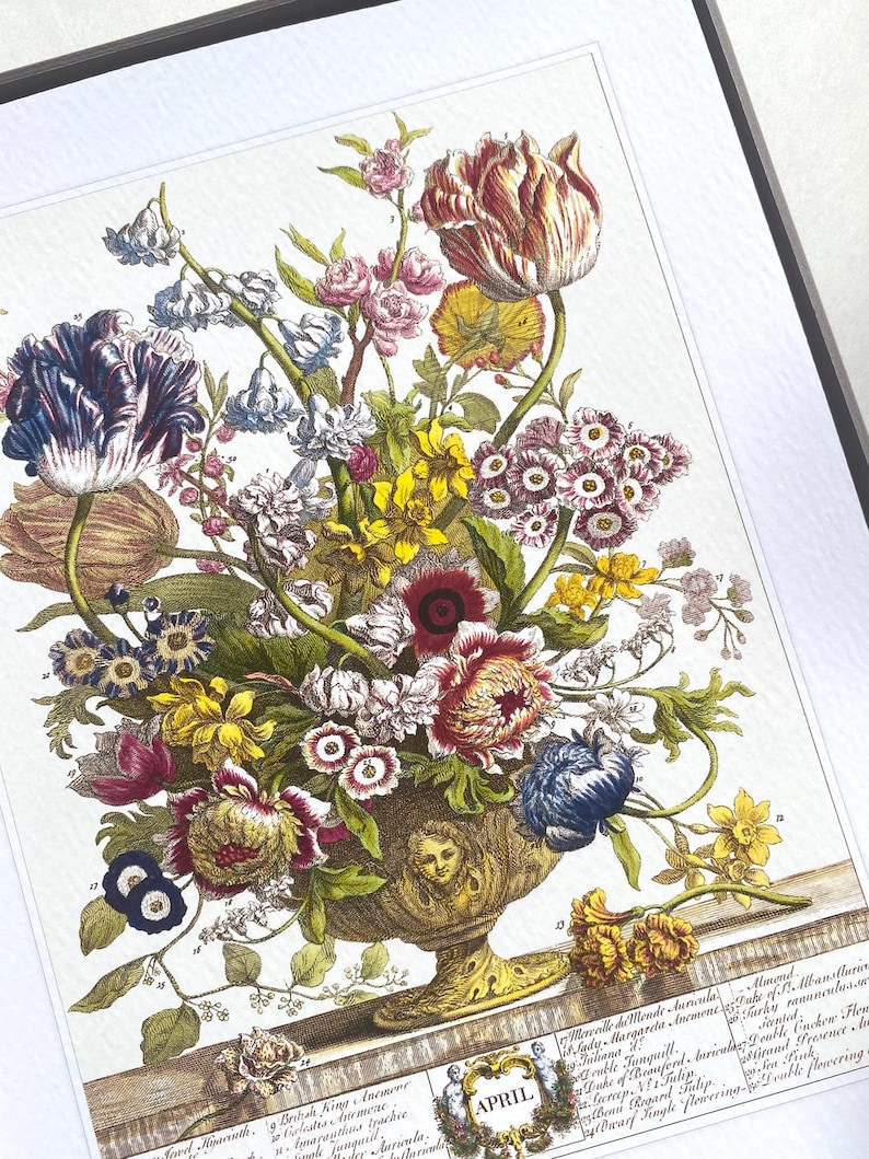 Individual Monthly 12 Floral Bouquets by Robert Furber Archival Prints ...