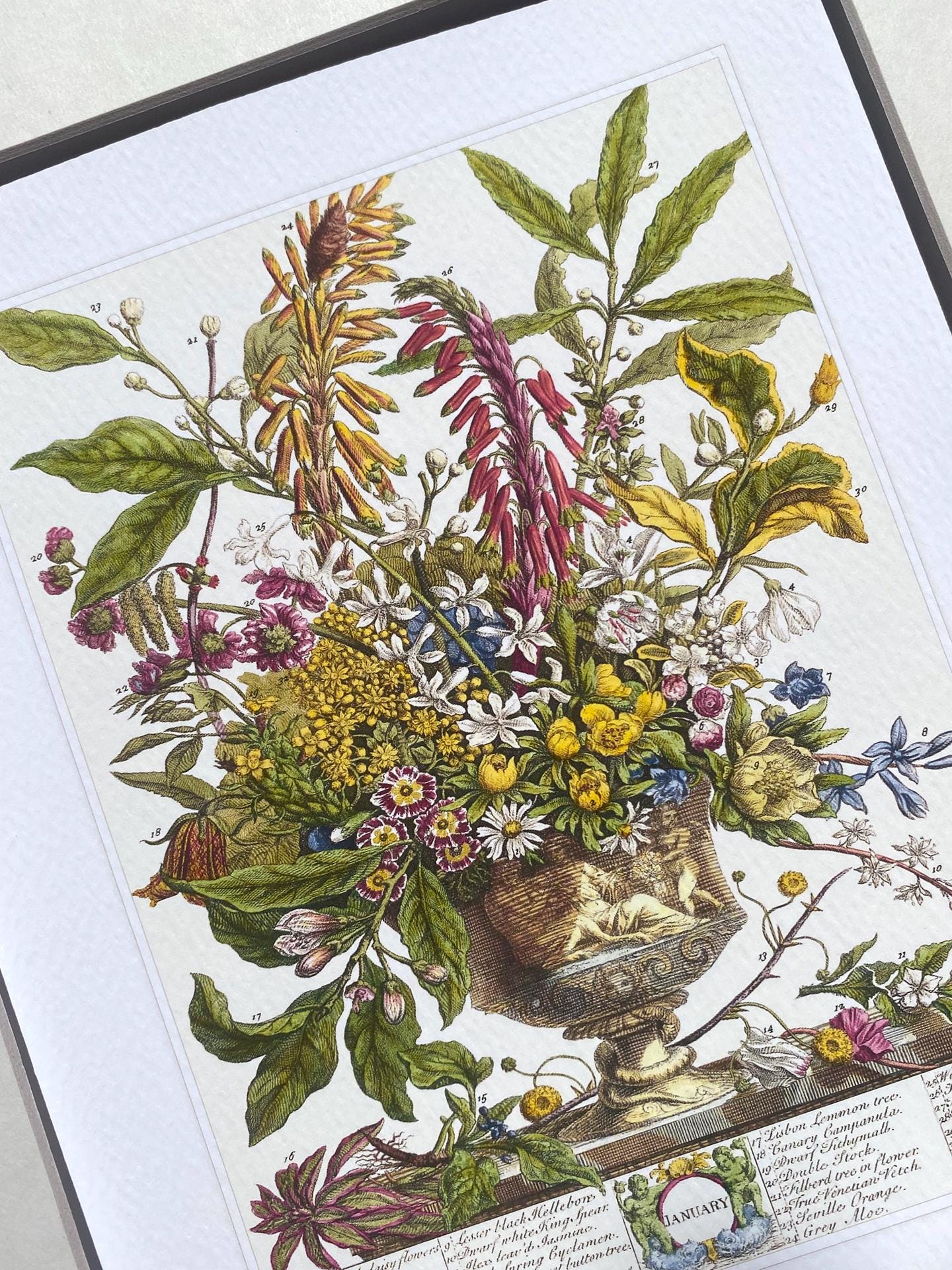 Individual Monthly 12 Floral Bouquets by Robert Furber Archival Prints ...