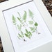 Botanical Fern Print 3 on Watercolor Archival Paper - Etsy