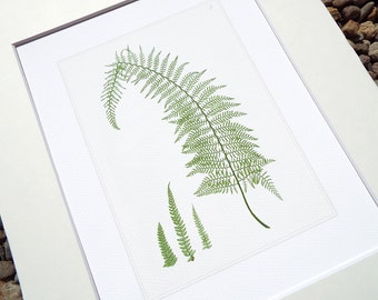 Botanical Fern Print 10 on Watercolor Archival Paper | Etsy