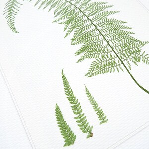 Botanical Fern Print 11 on Watercolor Archival Paper - Etsy