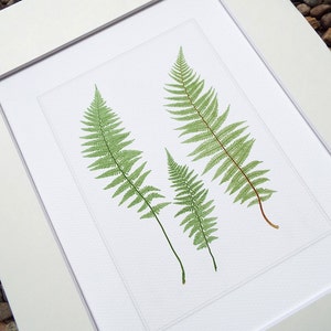 Botanical Fern Print 7 on Watercolor Archival Paper - Etsy