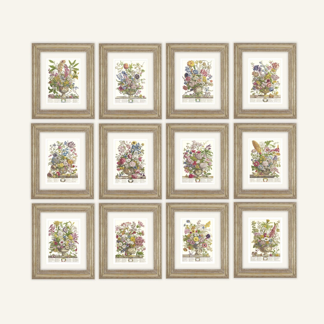 Set of 12 Floral Bouquets by Robert Furber Archival Prints on ...