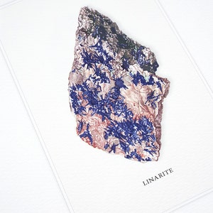 Linarite Mineral Specimen Archival Print on Watercolor Paper - Etsy