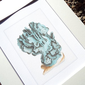 Ocean Blue Sea Coral Form Archival Print on Watercolor Paper - Etsy