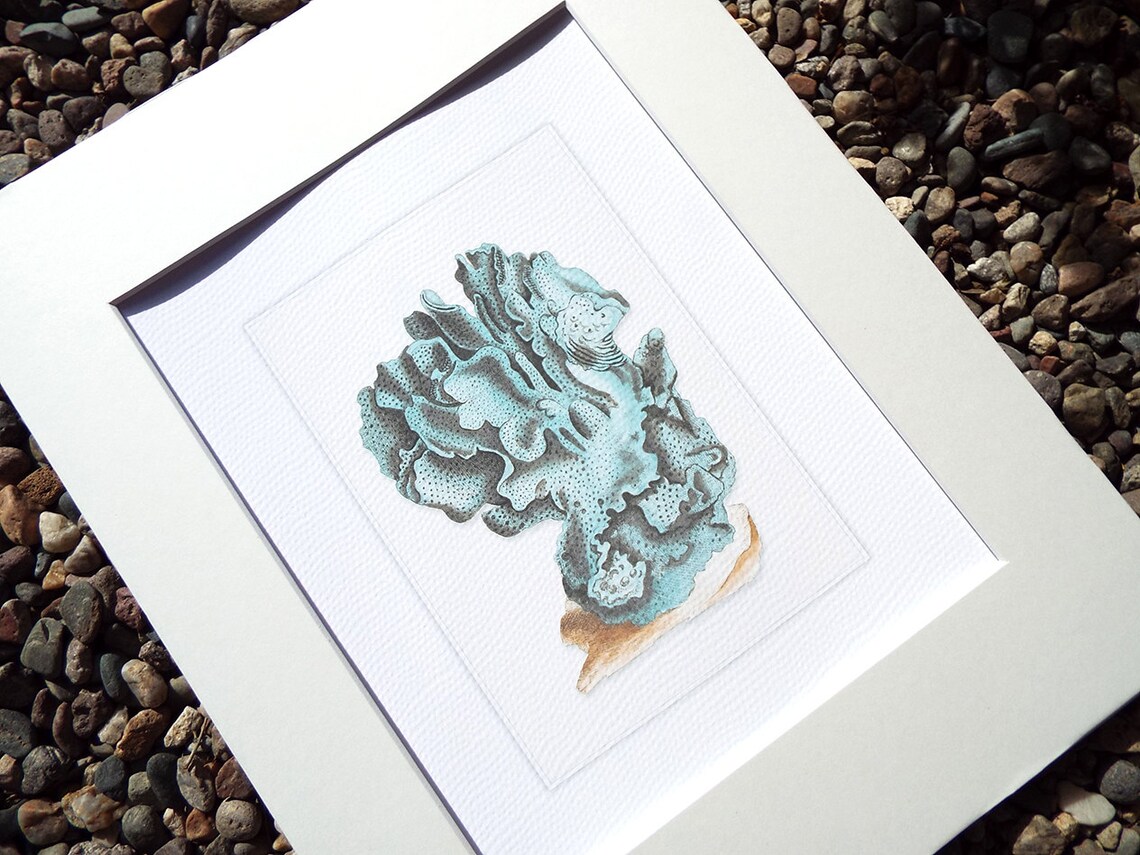 Ocean Blue Sea Coral Form Archival Print on Watercolor Paper | Etsy