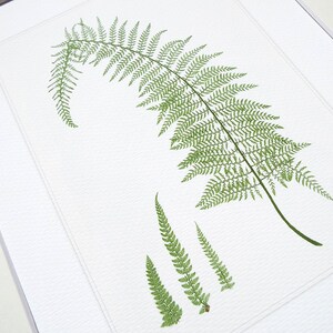 Botanical Fern Print 11 on Watercolor Archival Paper - Etsy