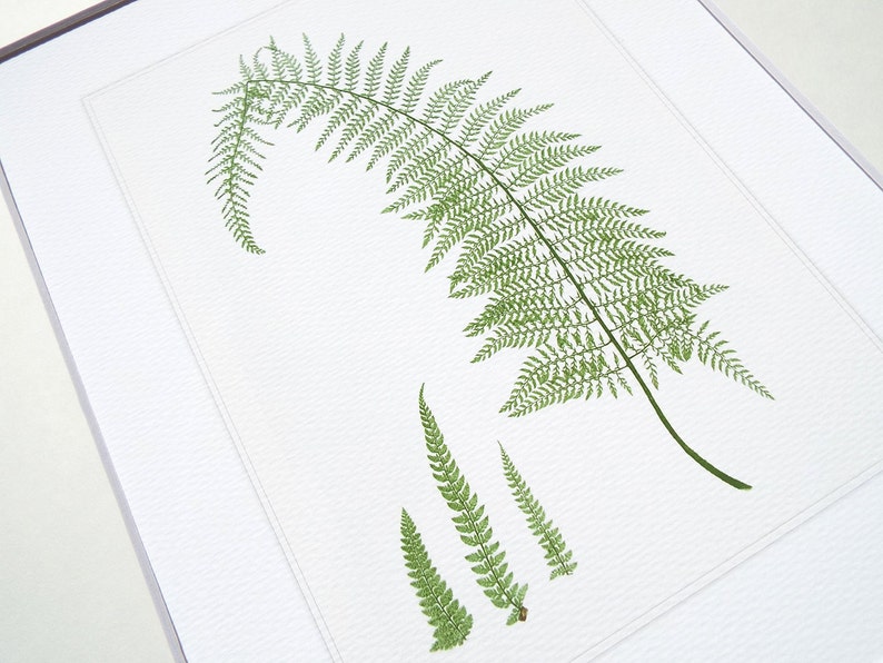 Botanical Fern Print 11 on Watercolor Archival Paper - Etsy