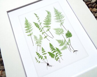 Botanical Fern Print 10 on Watercolor Archival Paper | Etsy