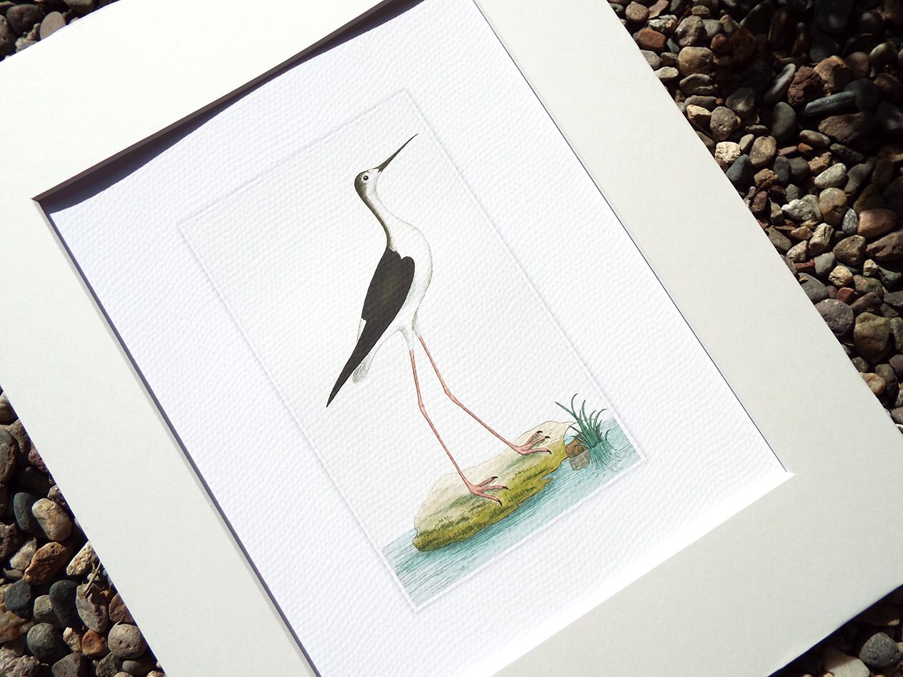 Sea Bird Crane Standing in Soft Blue Water Fine Art Archival | Etsy