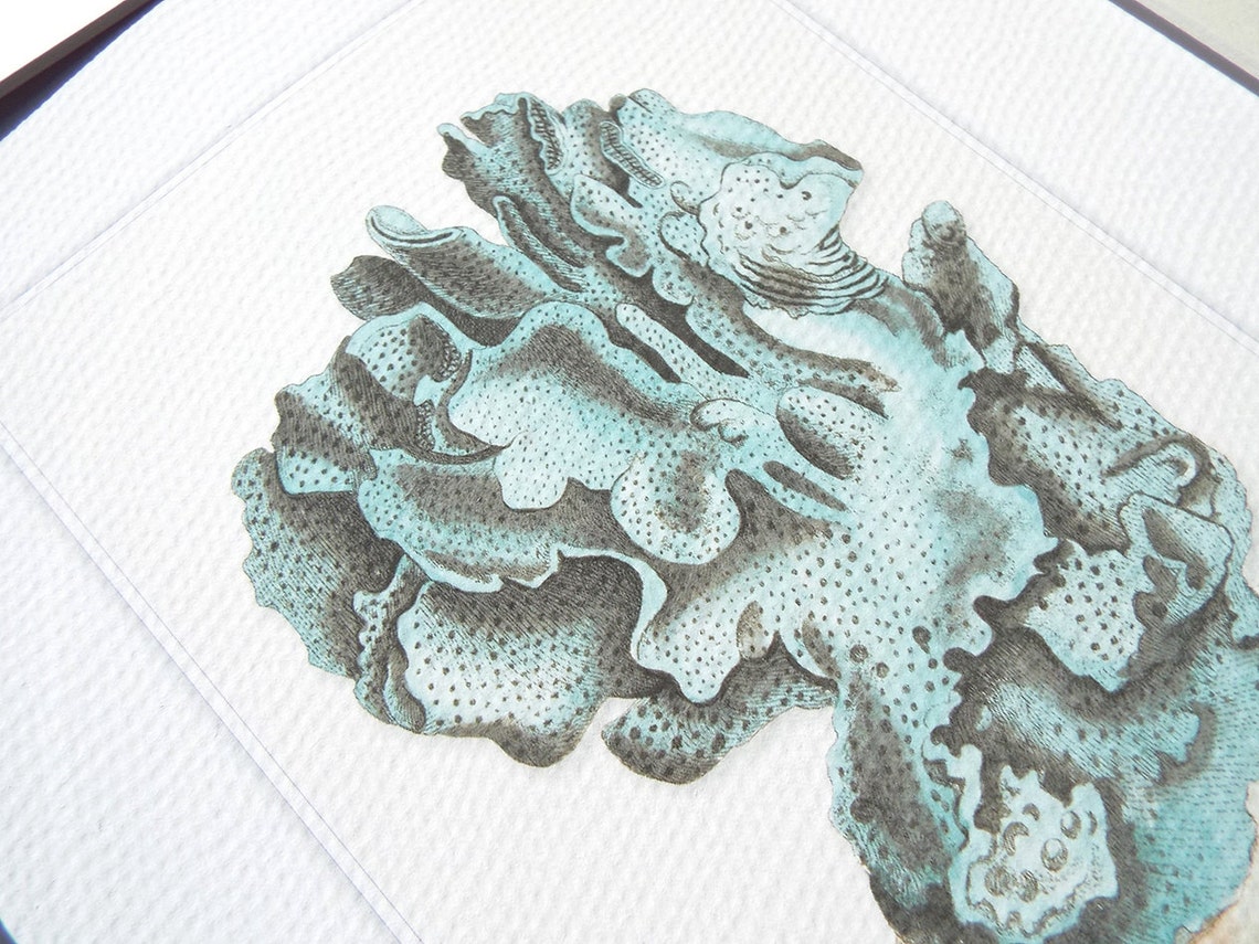 Ocean Blue Sea Coral Form Archival Print on Watercolor Paper | Etsy