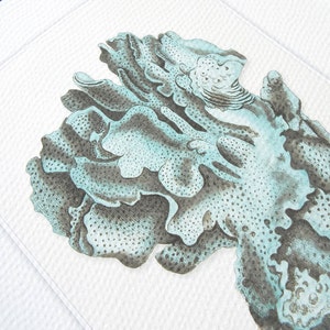 Ocean Blue Sea Coral Form Archival Print on Watercolor Paper - Etsy