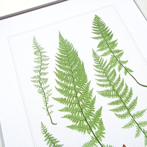 Botanical Fern Print 10 on Watercolor Archival Paper - Etsy