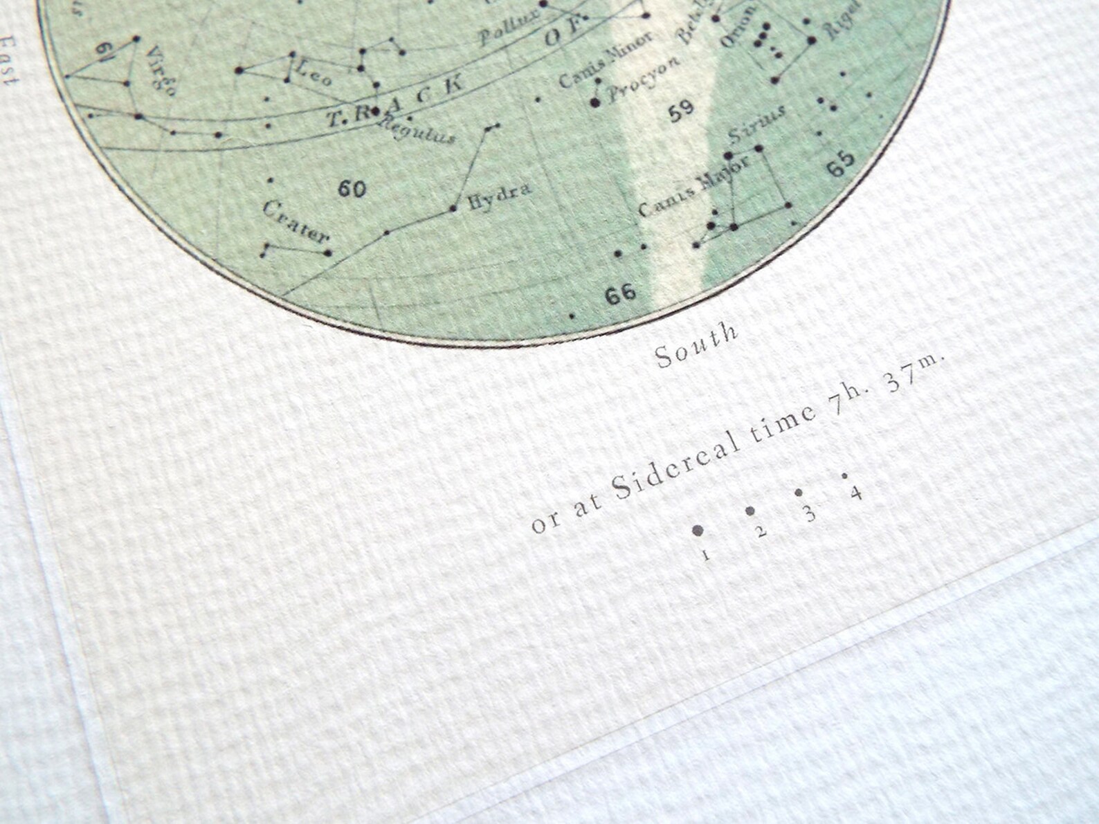Monthly Star Maps in Pale Green, Astronomy, Constellation, Celestial ...