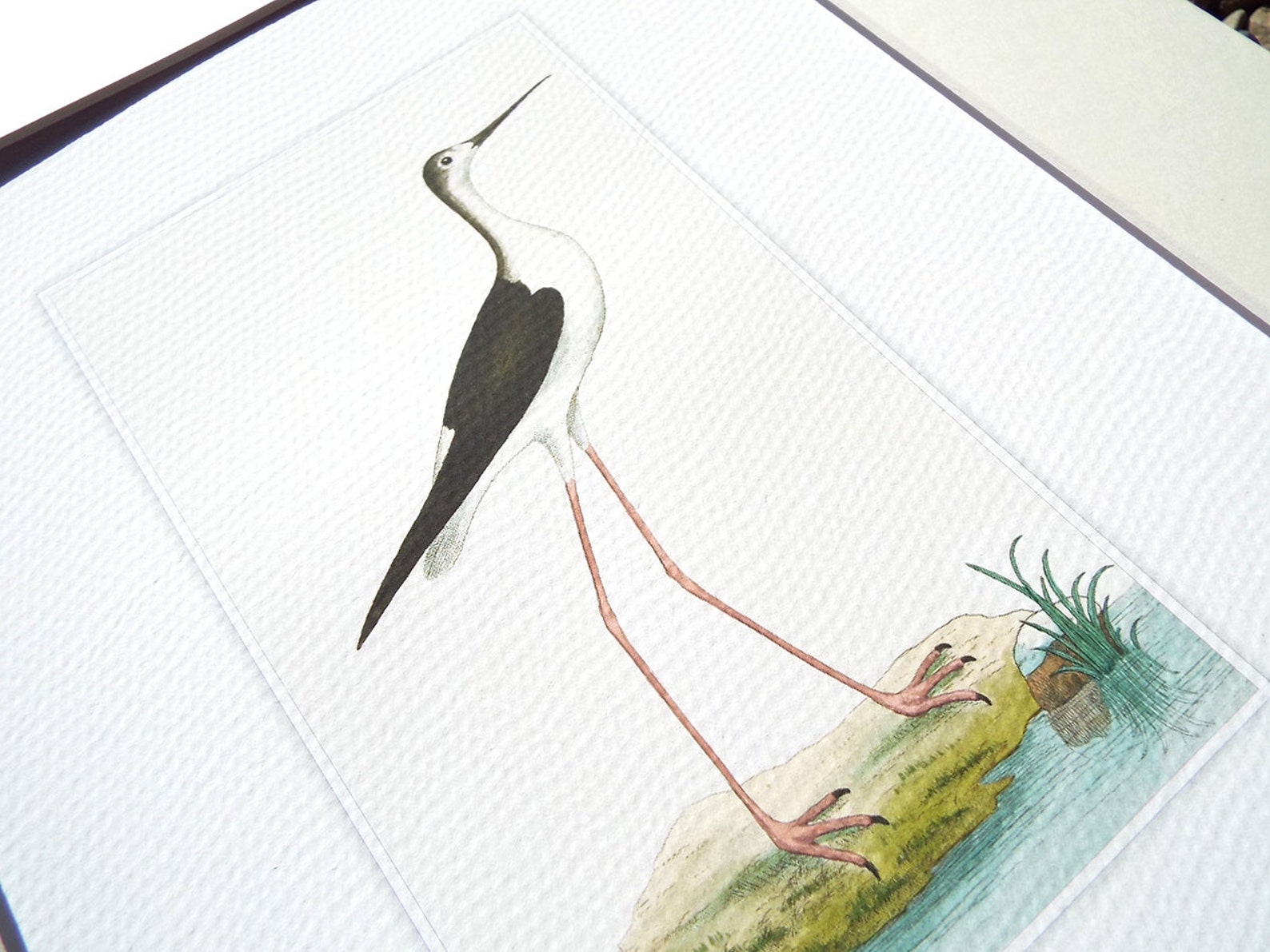 Sea Bird Crane Standing in Soft Blue Water Fine Art Archival - Etsy