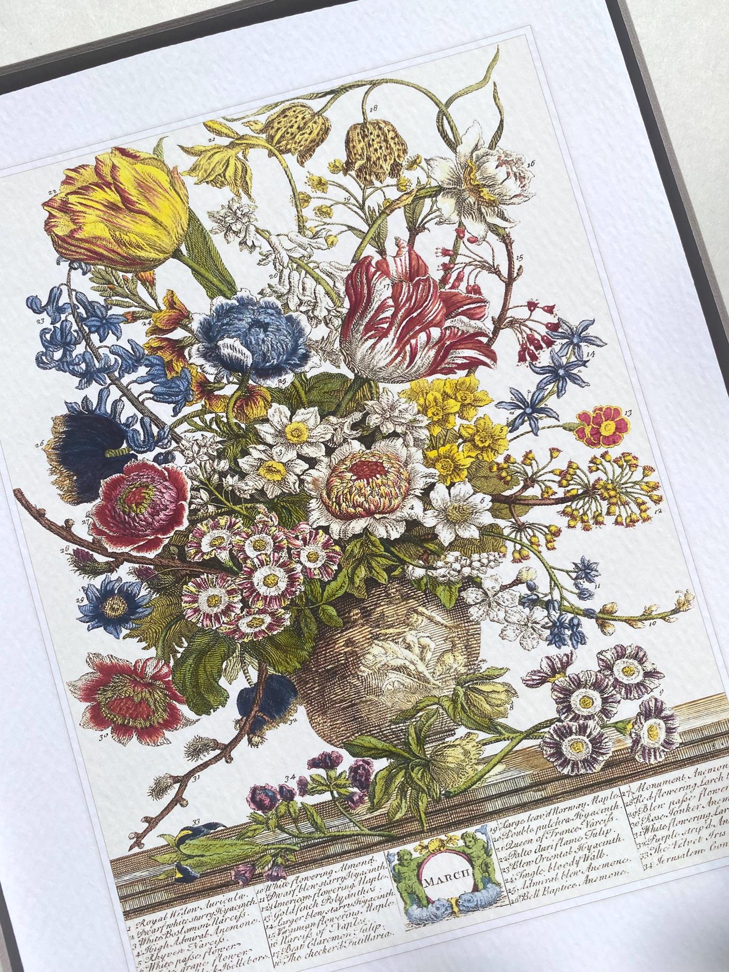 Individual Monthly 12 Floral Bouquets by Robert Furber Archival Prints ...
