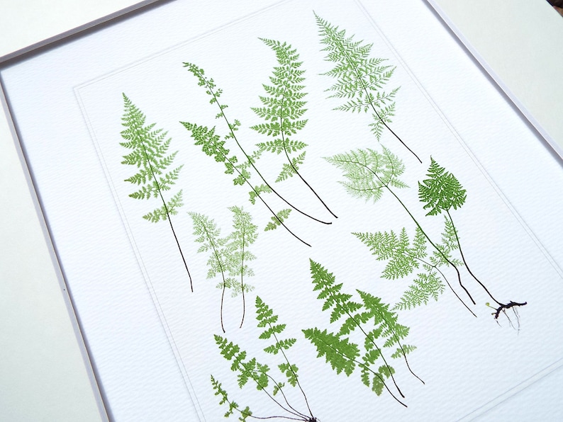 Botanical Fern Print 3 on Watercolor Archival Paper - Etsy