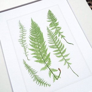 Botanical Fern Print 10 on Watercolor Archival Paper - Etsy