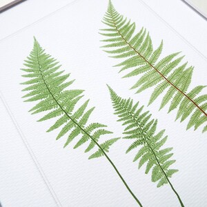 Botanical Fern Print 7 on Watercolor Archival Paper - Etsy