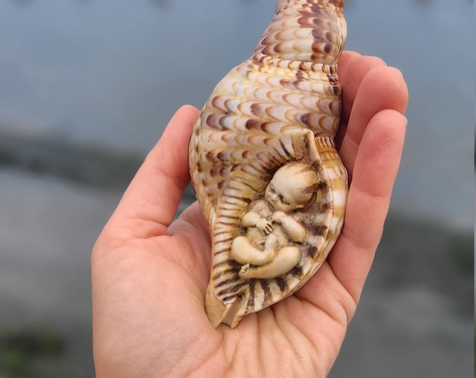 Sweet Dreams, Baby in Triton Shell, by Debra Bernier, Shapingspirit - Etsy
