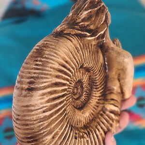 Ammonite Woman, Ancient Spirit Sculpture, by Debra Bernier, Shaping ...