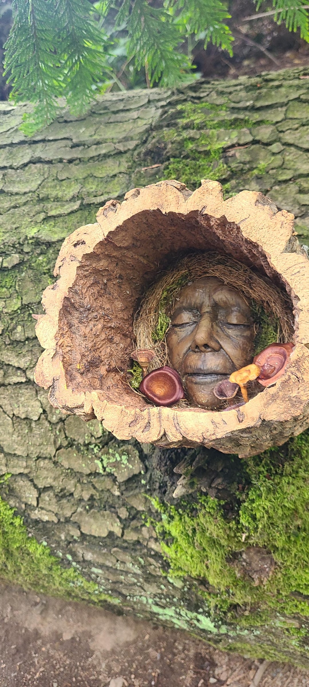 Cork Wood, Elder Woman, Shelf Artwork, Carving Driftwood by Debra ...