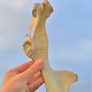 Bone Mother, Sacred Altar Sculpture With Crystal by Shaping Spirit ...
